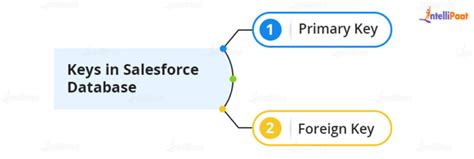 The Salesforce Database Explained Intellipaat
