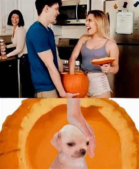 22 Pumpkin Spice Memes Guaranteed To Get You In The Fall Spirit