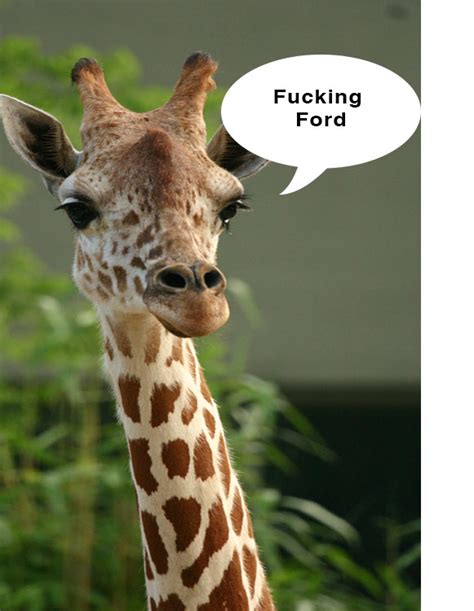 Breaking News Rob Ford Sex Tape Surfaced Thain In Vain