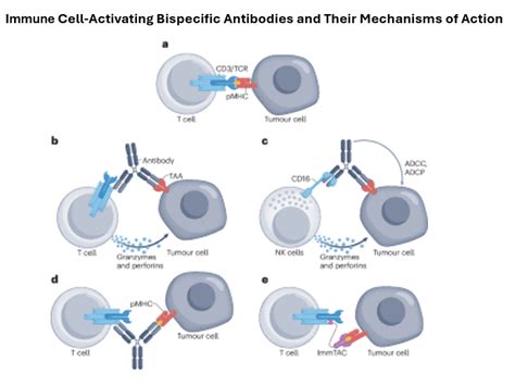 Optimizing Ligand Binding Assays For Multi Analyte Detection Focusing
