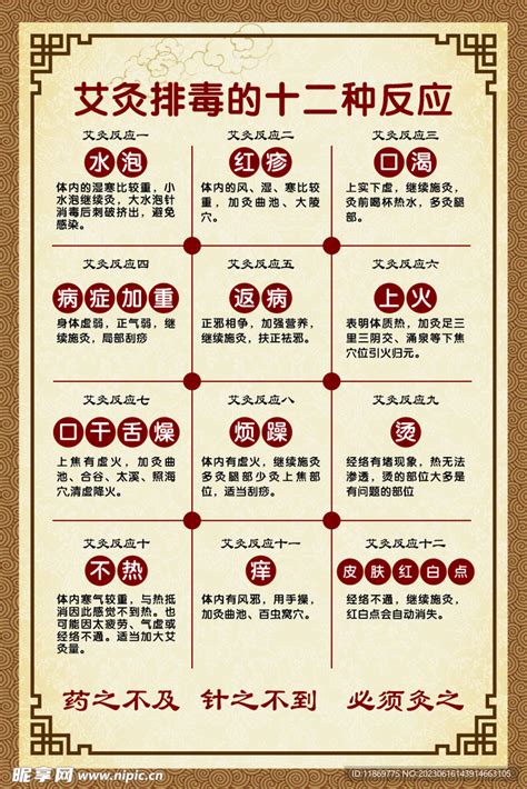 艾灸排毒反应设计图广告设计广告设计设计图库昵图网