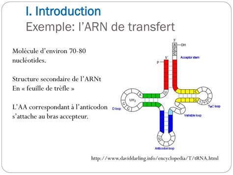 Ppt Structures Secondaires Darn Prédiction Et Recherche Powerpoint