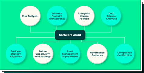 Explaining Software Audit Benefits Tips Checklist