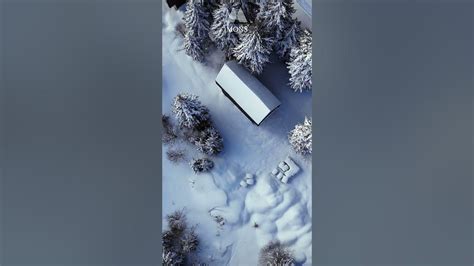 🎅 მონსის ზღაპრული სამყარო ბაკურიანში 🎄 Youtube