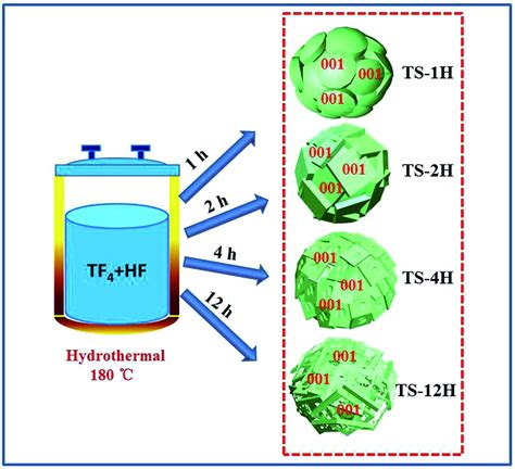 Schematic Of Morphology Evolution For The Prepared Anatase Tio2 Download Scientific Diagram