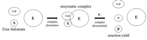 A Schematic Diagram Of A Biochemical Reaction Download Scientific Diagram