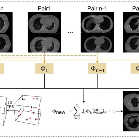 Data Augmentation Process Employing Registration To Constrain Image Download Scientific Diagram