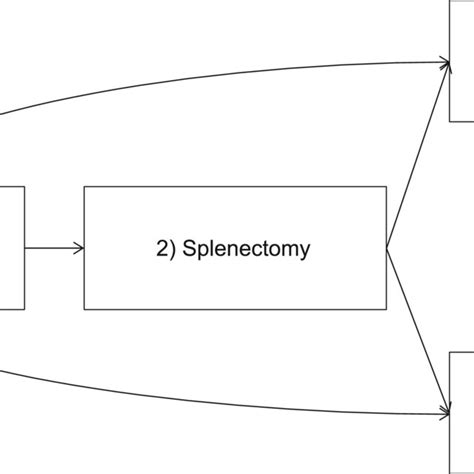 The Multistate Model Arrows Represent Possible Single‐direction