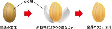PR 15分で完成日高良実さんが作るヘルシーでお手軽なパエリアレシピをご紹介 往復食簡番外編 毎日新聞