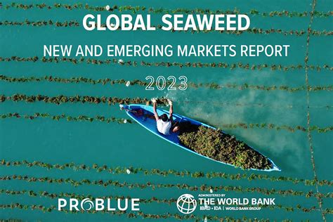 New And Emerging Seaweed Markets Report 2023 Ocean Harvest Technology