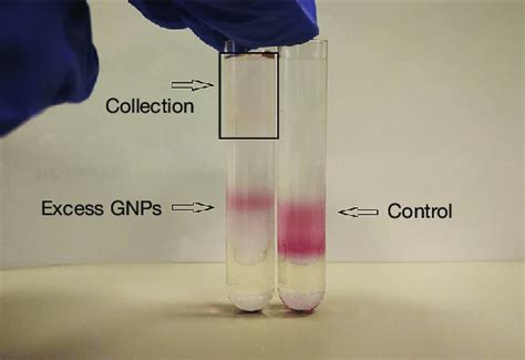 Exosome Samples Left And Gnps Right After Density Gradient Download Scientific Diagram