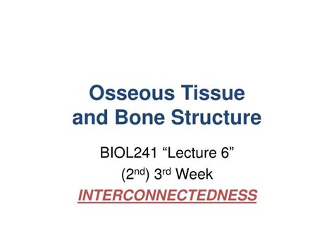 PPT Osseous Tissue And Bone Structure PowerPoint Presentation Free Download ID 2353722