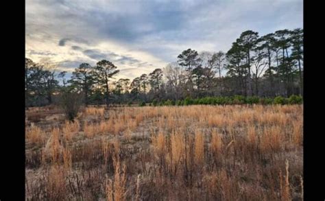 Nc 41 Wallace Nc 28466