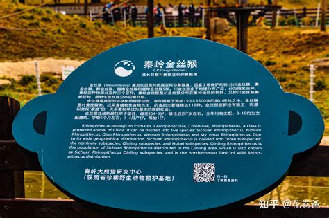 开着唐dm，秦岭四宝科学公园看七仔遛娃两不耽误 知乎