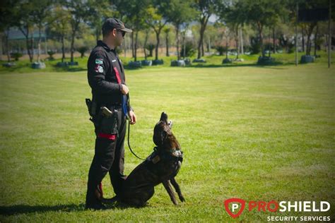 Pro Shield Security Solutions