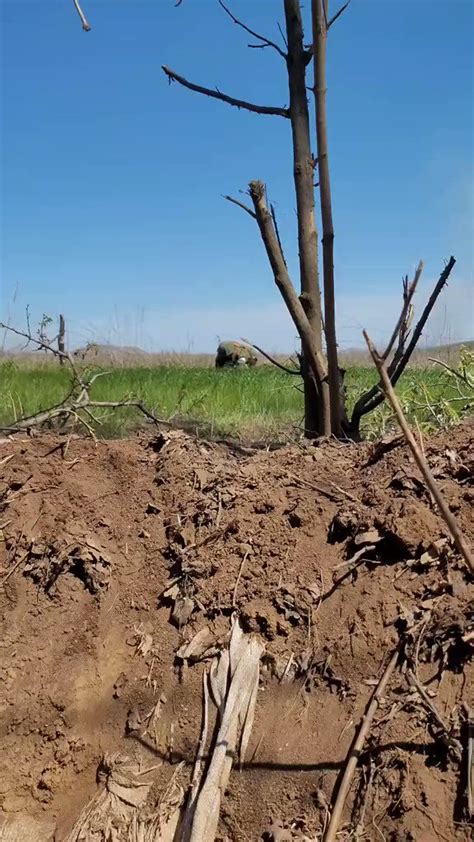 Оперативний ЗСУ On Twitter Кацап здався в полон T Me Operativnozsu