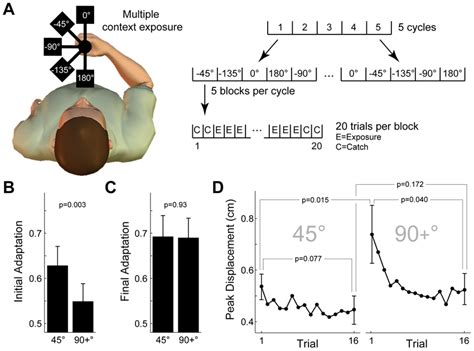 Multiple Context Adaptation Experiment 6 Experimental Results And
