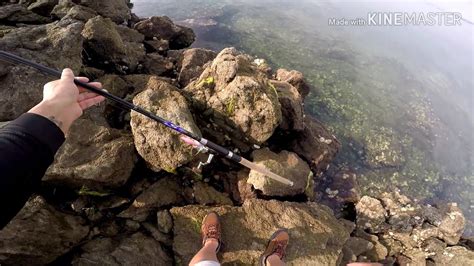 Pesca De Sepias 3 Capturas Youtube