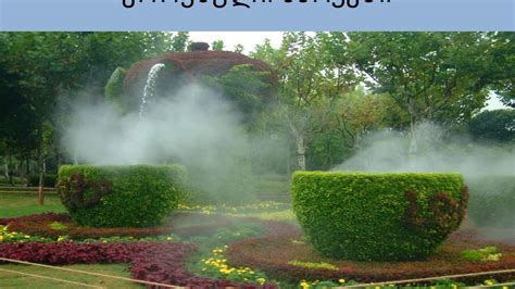 ტყე შეუნახე შვილებსა პრეზენტაცია Youtube