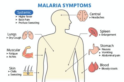 Malaria Current Affairs Editorial Notes By Vajiraoias