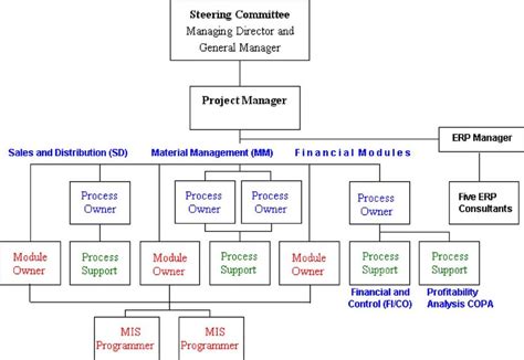 Project Team Structure By Functional Module Download Scientific Diagram