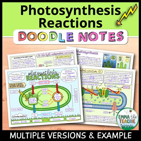 Photosynthesis Doodle Notes Emmatheteachie