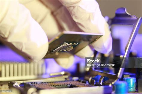 Technician Installing Cpu Chip Microprocessor Socket On Motherboard