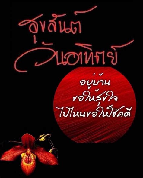 ปักพินโดย Kritsana Suntiari ใน วันพฤหัสบดี วันอาทิตย์ ฝันดีราตรีสวัสดิ์ คำอวยพรวันเกิด