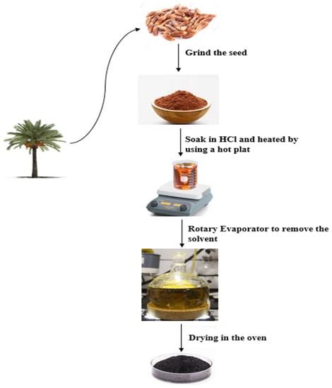 Separations Free Full Text Date Palm Seed Extract For Mild Steel