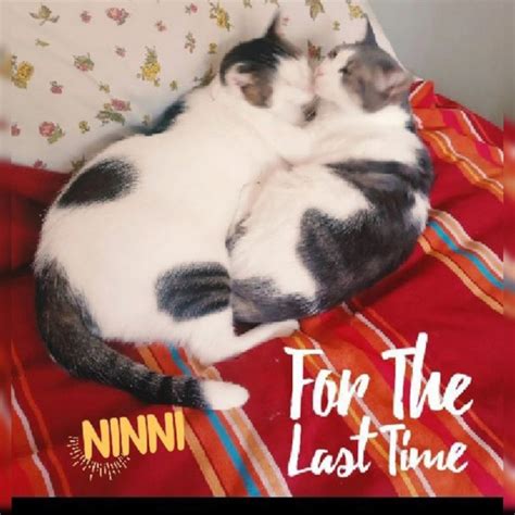 Track Of The Day Ninni For The Last Time The Other Side Reviews