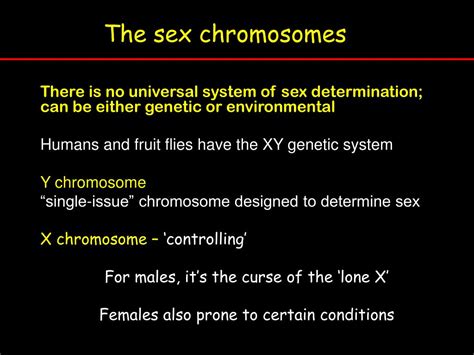 Ppt Mitochondrial Genome Powerpoint Presentation Free Download Id
