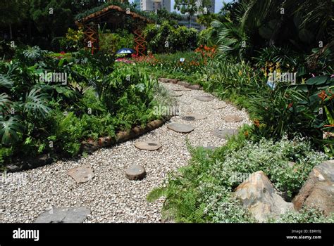 Landscaped Garden With Cockle Shells And Wood Bloks Foot Path Stock