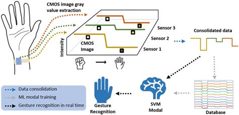 processing procedure for data collected in gesture‐recognition
