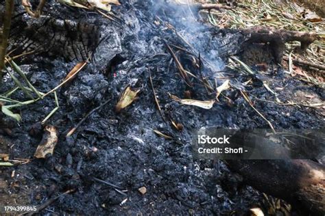 플라스틱과 종이 폐기물을 땅에 태우는 것 쓰레기를 태우는 연기와 재 0명에 대한 스톡 사진 및 기타 이미지 0명 검은색 구름 Istock
