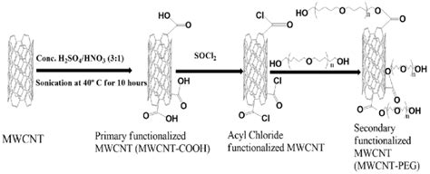 Reaction Scheme For Primary And Secondary Functionalization Of Mwcnts Download Scientific Diagram