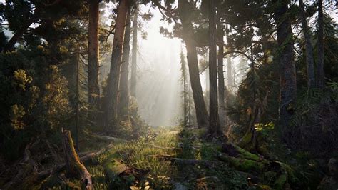 Beginning Game Development Hdrp Global Volume By Lem Apperson Medium