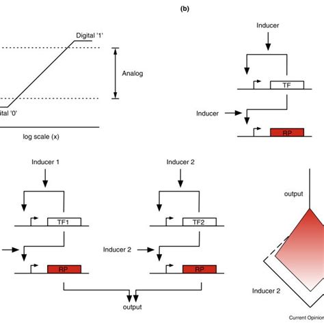A Digital Versus Analog Computation Digital Logic Uses The Extremes