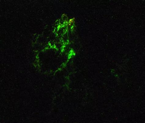 Hubble Telescope Spots Strangely Alive Green Blob In Outer Space