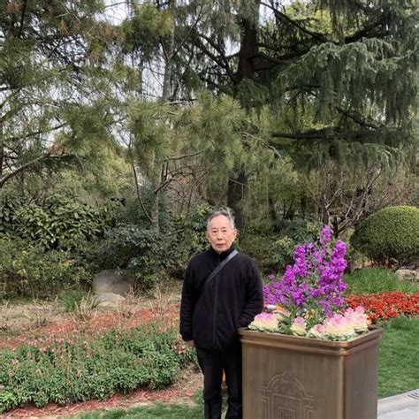 你像三月桃花开 Cover 张朋娜 王寅观 Mp3免费在线下载播放 歌曲宝 找歌就用歌曲宝 Mp3音乐高品质在线免费下载