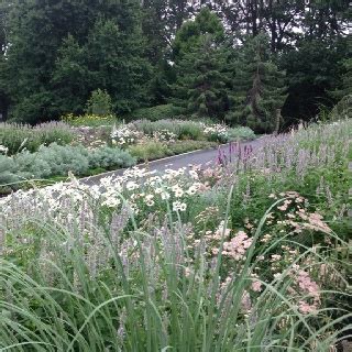English Boarder Designed By Ty Triplett Installed By Back To Nature