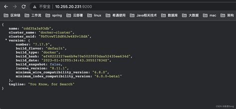 Elasticsearch基本使用 Elasticsearch文章一