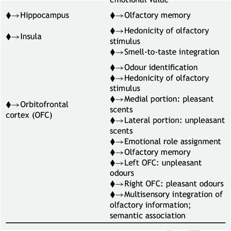 Brain Areas Activated During Olfactory Processing Download Table