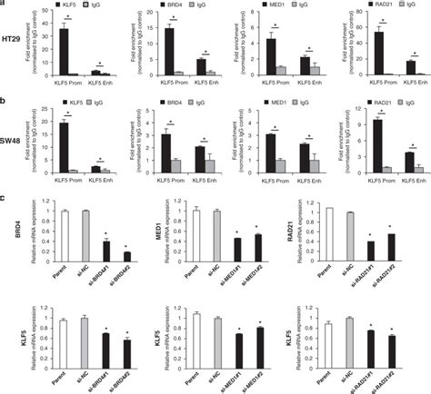 A Stem Cell Marker Klf5 Regulates Ccat1 Via Three Dimensional Genome Structure In Colorectal