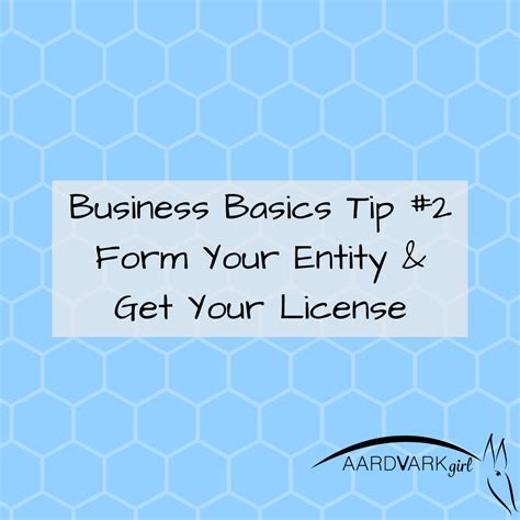 Business Basics Tip 2 Form Your Entity And Get Your License By