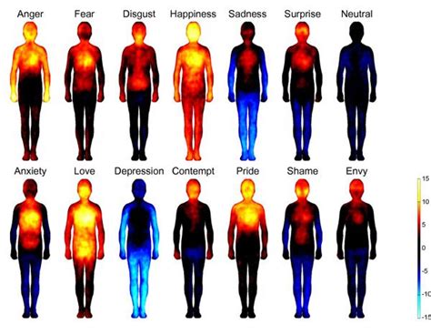 What Are Emotions The 6 Basic Universal Emotions • Psihosensus