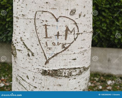 Red Heart Engraved In The Tree Stock Photography CartoonDealer Com