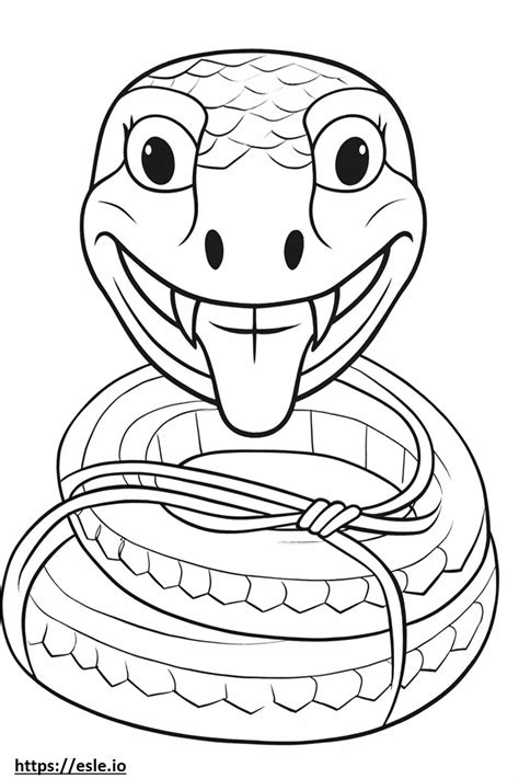 Rosy Boa Face Coloring Page