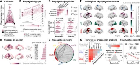 A Spatiotemporal Complexity Architecture Of Human Brain Activity Science Advances