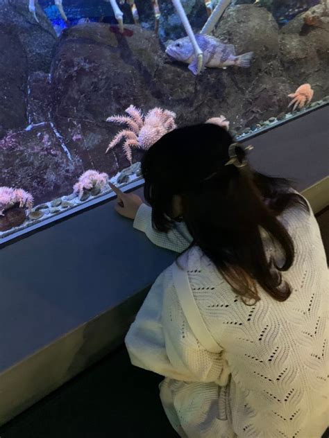 ปักพินโดย りゅう ใน クイック保存 การถ่ายรูป