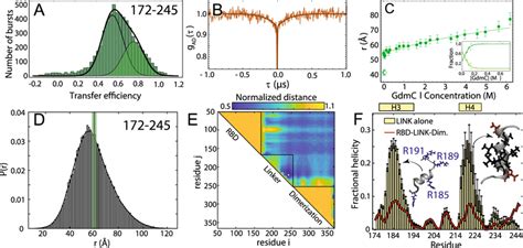 The Rna Binding Domain Rbd And Dimerization Domains Are Download